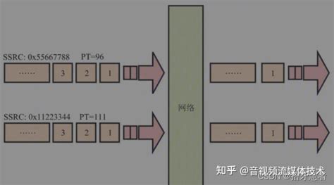 从webrtc学习rtp协议 知乎