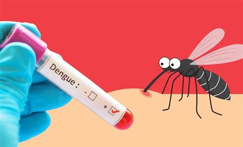 ডেঙ্গু আক্রান্ত হয়ে গত ২৪ ঘণ্টায় একজনের মৃত্যু স্বাস্থ্য