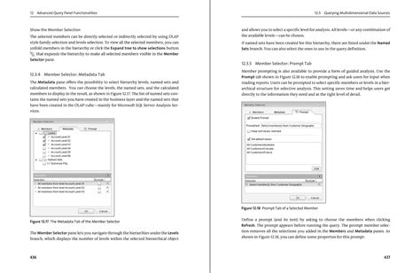 Webi Sap Web Intelligence Comprehensive Guide Boo By Sap Press