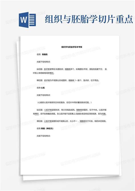 组织与胚胎学切片重点word模板下载 编号lnmmodex 熊猫办公