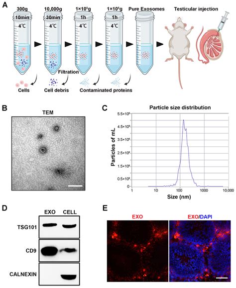 Isolation Identification Characterization And Tracking Of