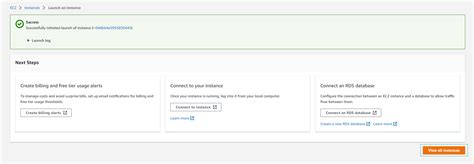 Launch An Instance From A Custom Ami Introduction To Amazon Ec2