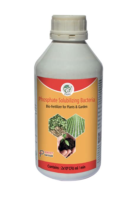 Phosphate Solubilizing Bacteria Gilehri Organics