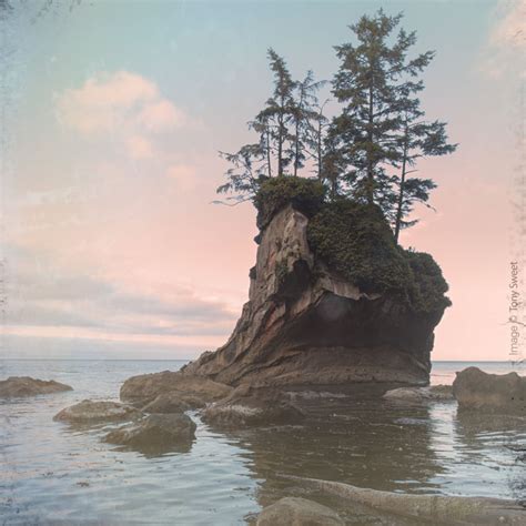 Exposure Custom Textures Video Exposure Software