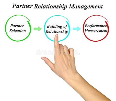 Partner Relationship Management Stock Image Image Of Components Hand 247256663