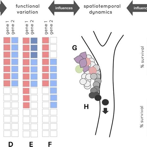 Current Single Cell Genomics Techniques Download Table