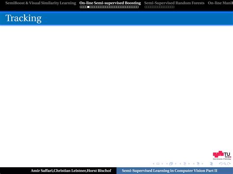Cvpr2010 Semi Supervised Learning In Vision Part 3 Algorithms And Applications Pdf