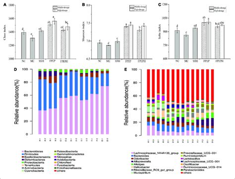 Biodiversity Measures And Compositions Analysis On Phylum And Genus