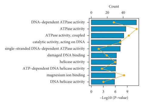 Functional Analysis Of The Prognostic Model A Biological Process In