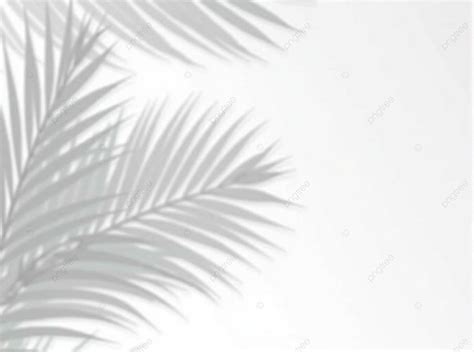 Palm Leaves Shadow Background Overlay Palm Leaves Shadow Background Image And Wallpaper For