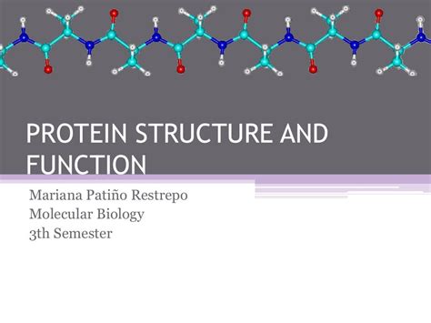Protein Structure And Function