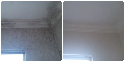 Bathroom Mould Removal Before And After Mister Mould Perth