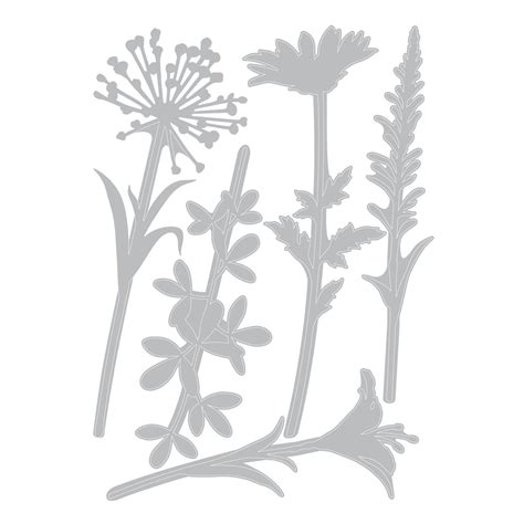 Sizzix Thinlits Die Set 5pk Wildflower Stems 2 By Tim Holtz Uk