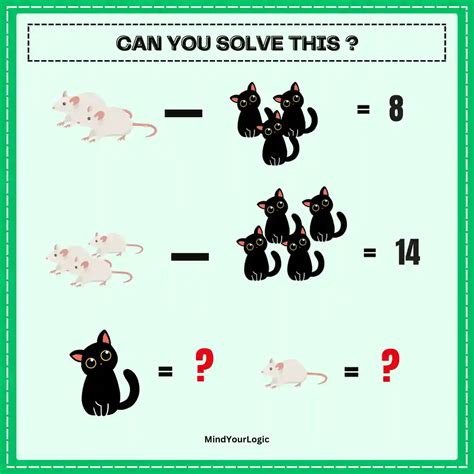 Rat And Cat Math Equation Puzzle