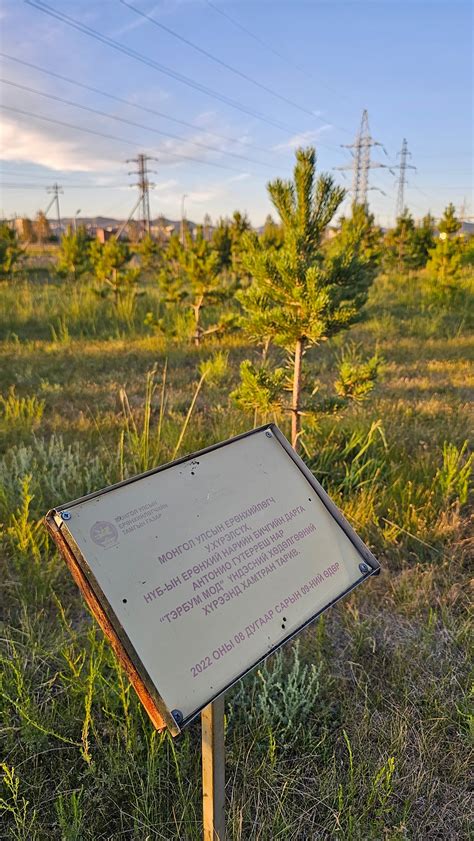 Гэртээ туршъя Сатоши Омурагийн нэрэмжит Science Fair Facebook