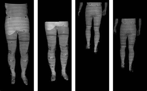 Four Simultaneous Views Of The Object The Measured Surfaces Are Merged Download Scientific