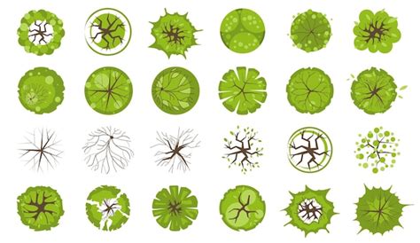 무료로 다운로드 가능한 나무 평면 벡터 And 일러스트 Freepik