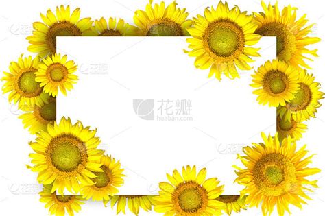 花框架孤立的白色背景