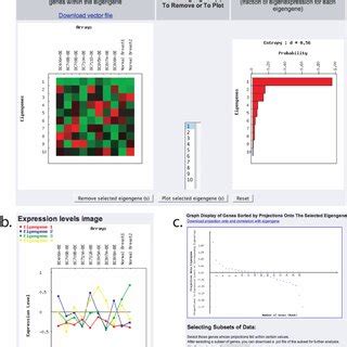 Result Of An SVD Analysis In SMD A Raster Display Of The Download Scientific Diagram