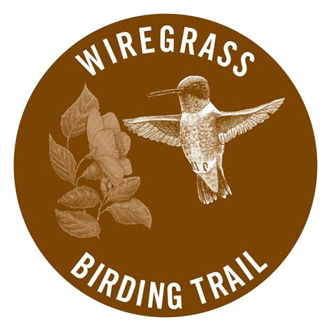 Wiregrass Birding Trail Site Of The Week Blue Springs State Park