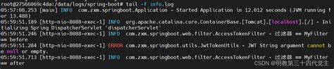ubuntu20 04基于docker部署springboot项目 ubuntu20 04搭建springboot 2 6 5 csdn博客