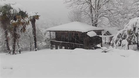 “გურიაში ნამდვილი ზამთარი თებერვალში იცოდა” ზურა შევარდნაძე გურიის მოამბე
