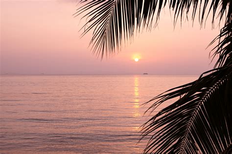 Long Term Effects Of Oxycodone OxyContin On The Body