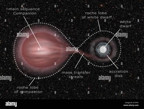 Binary Star Diagram Binary Star Star System Stars