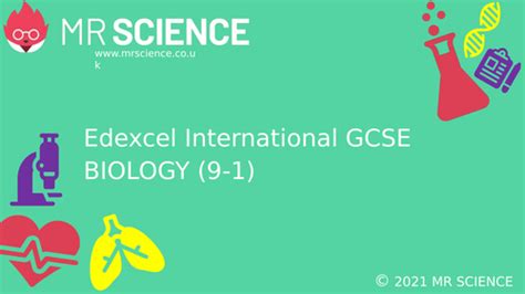 Igcse Edexcel Biology 9 1 Reproduction Humans Updated Teaching Resources