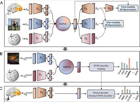 Pdf Decoding Visual Neural Representations By Multimodal Learning Of Brain Visual Linguistic
