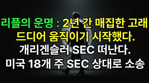 리플호재 2년간 매집한 고래들이 드디어 움직이기 시작했습니다 Youtube 리플호재 2년간 매집한 고래들이 드디어 움직이기 시작했습니다 Youtube