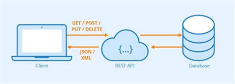 Apis 101 A Beginners Crash Course By Muj Acm Medium