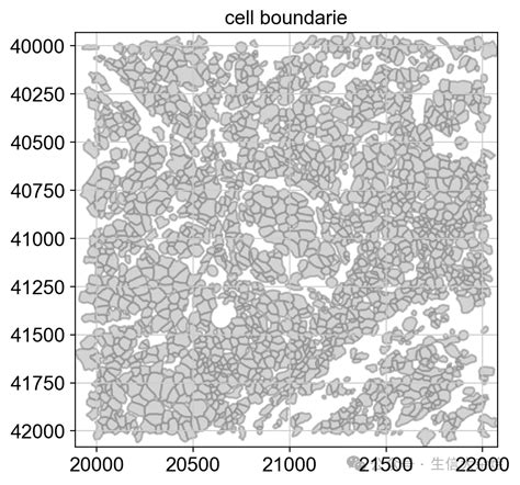 Spatialdata：空间组学数据的统一框架与xenium5k下机数据读取实战数据组学 Csdn博客