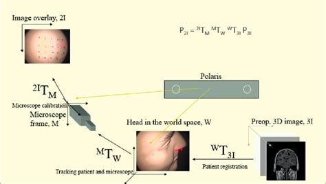 Components Of Matrix Expression Calculation And Their Circulation In Download Scientific