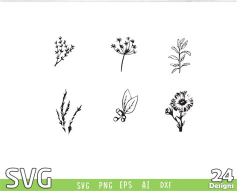 Herb Svg Svg Files Svg Bundle Svg Files For Cricut Wildflower Herb Svg Svg Files Svg Bundle Svg Files For Cricut Wildflower