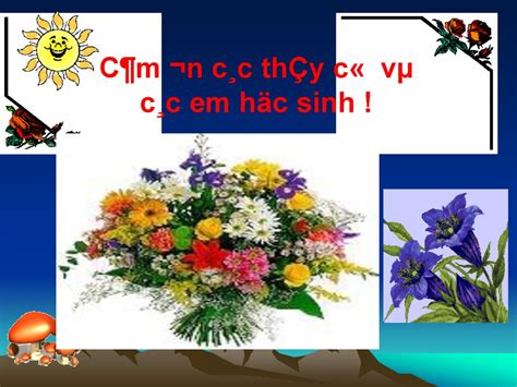 Cc thÇy gio c gio vµ cc em häc sinh vÒ dù giê thao ging ppt download