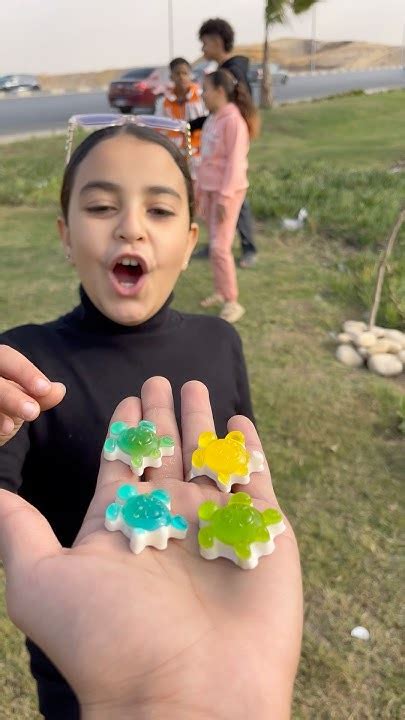 السلحفاء 🥲💔💔 Youtube