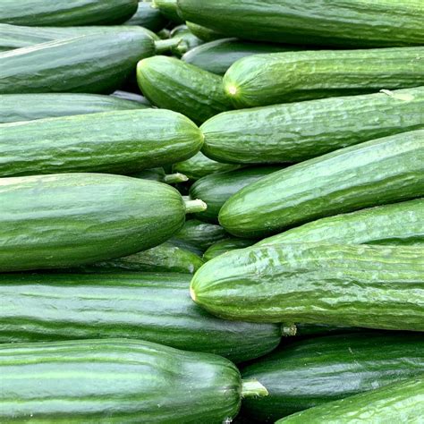 Cucumber Growing Tips Health Benefits And Meal Ideas For Your Allotment