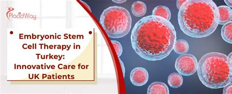 Embryonic Stem Cell Therapy In Turkey For Uk Patients