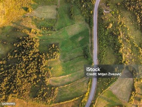 녹색 잔디와 나무 사이의 산맥의 시골 도로에서 위에서 아래로 공중 보기 화창한 여름 날 유럽 세르비아의 Tresibaba에 자연 여행 개념 무인 항공기 사진 0명에 대한