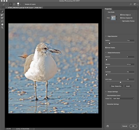 Solved Re Select And Mask Tool Not Working Cc2017 Adobe Product Community 8873591