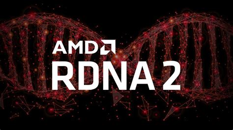 news amd confirms rx 6000 series rdna 2 ‘big navi gpu lineup will