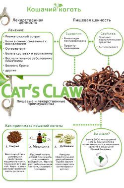 Кошачий коготь — SportWiki энциклопедия