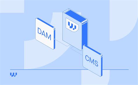 Why Dam Cms Integration Is Important