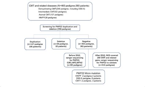Genetic Testing Flow Chart For Patients With Cmt Disease And Hnpp Download Scientific Diagram