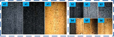 Figure 1 From A Novel Automatic Classification Method Based On The Hybrid Lightweight Shunt