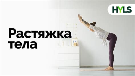 РАСТЯЖКА НА ВСЕ ТЕЛО 1 ЧАС ГИБКОСТЬ ВСЕГО ТЕЛА ДОМА Youtube