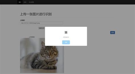动物识别系统Python 卷积神经网络算法 TensorFlow 人工智能 图像识别 计算机毕业设计项目 阿里云开发者社区