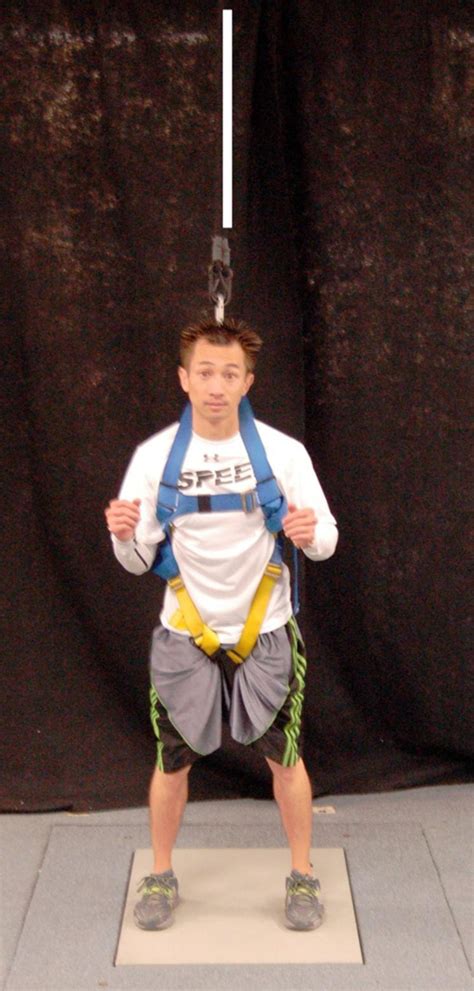 Figure Subject In An Assisted Jump Apparatus Download Scientific