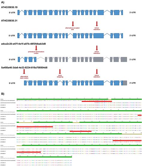 The Integration Of Data From Different Long Read Sequencing Platforms Enhances Proteoform